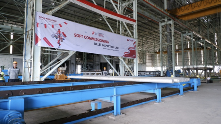Soft Commissioning Billet Inspection Line PT Indonesia Aluminium Alloy ...